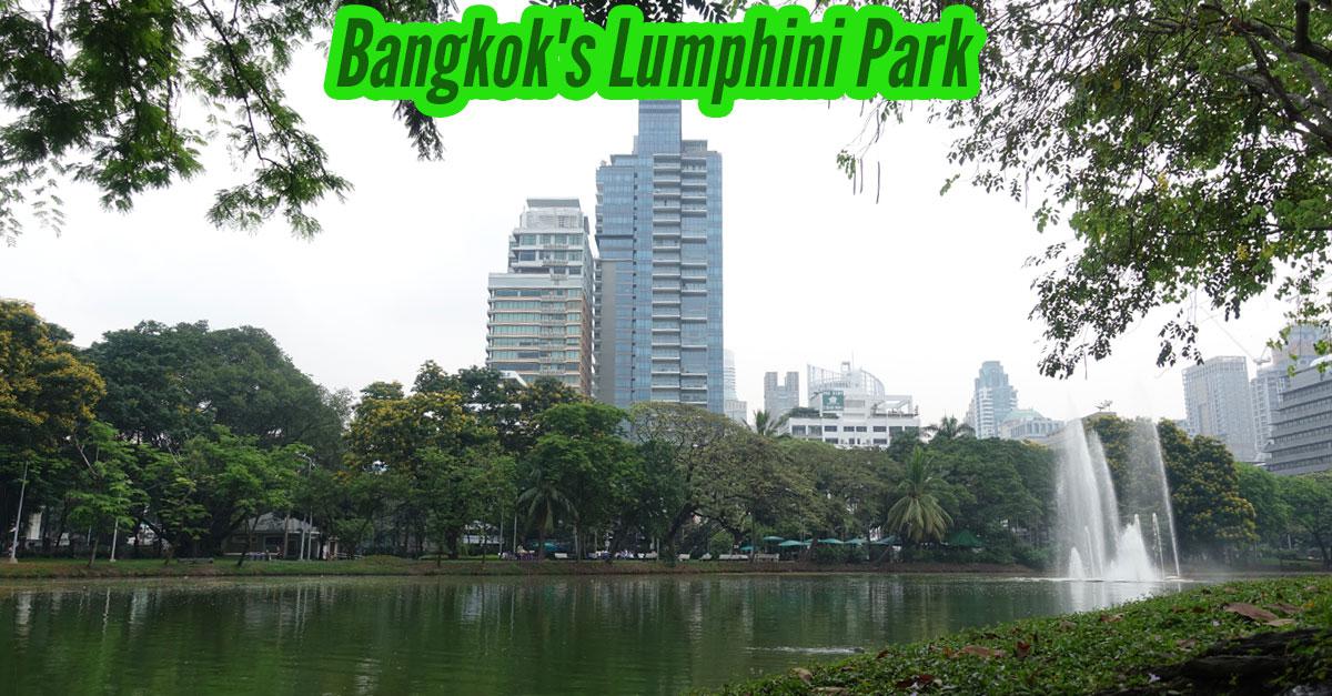 Exploring Bangkok's Lumpini Park and The Monitor Lizards | Complete ...